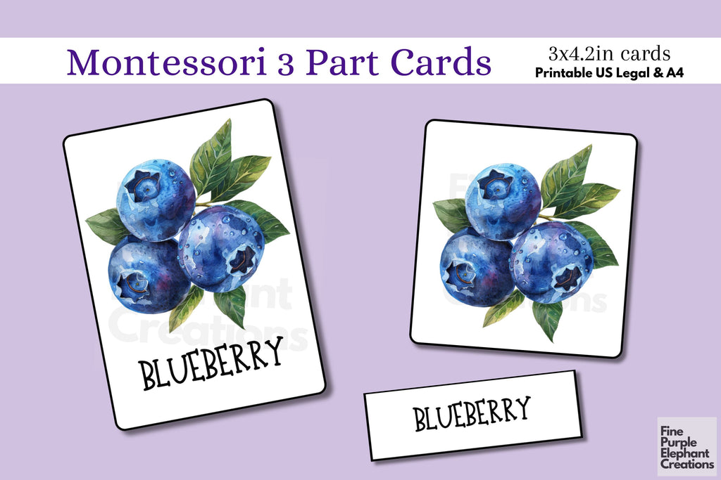 Watercolor Fruit Flashcards | Preschool Montessori Cards - So Fontsy