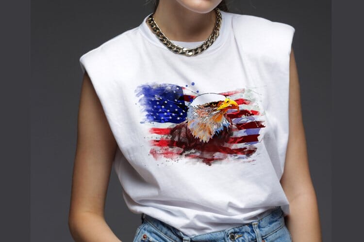 Bald Eagle American Flag Watercolor Sublimation Clipart PNG - So Fontsy