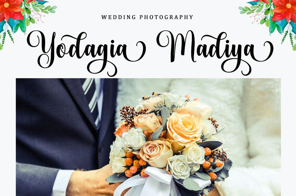 Bodaholic Script Font - So Fontsy