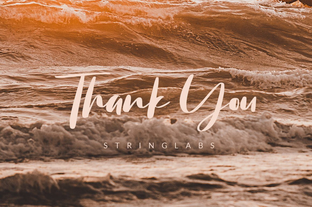 Chellyne - Modern Script Font - So Fontsy