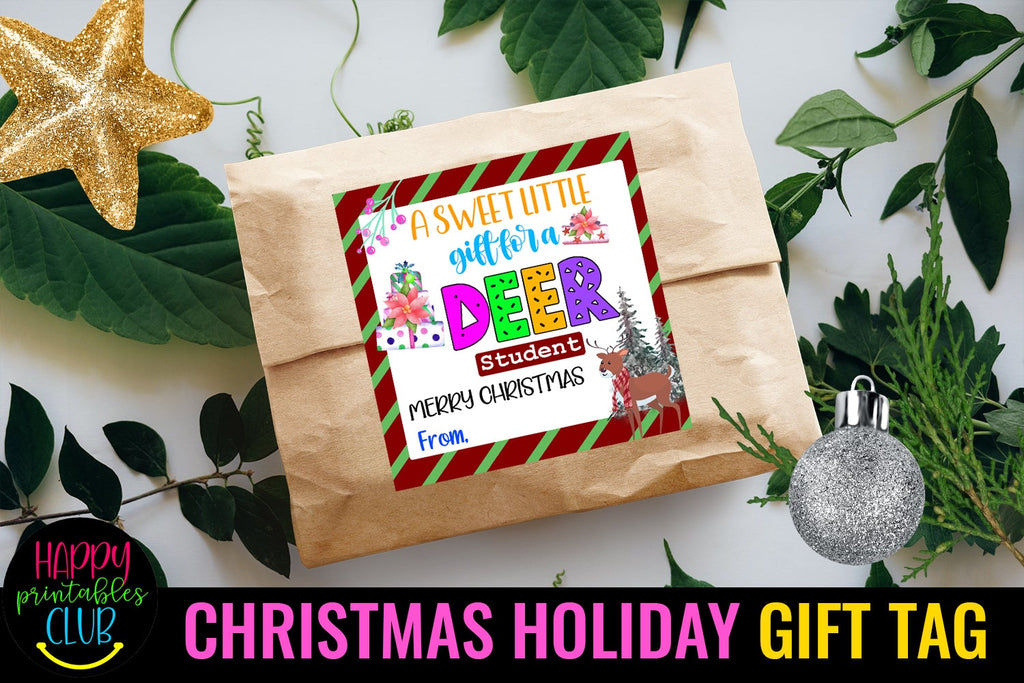 Christmas Gift Tags for Students- Christmas Holiday Gift Tag - So Fontsy