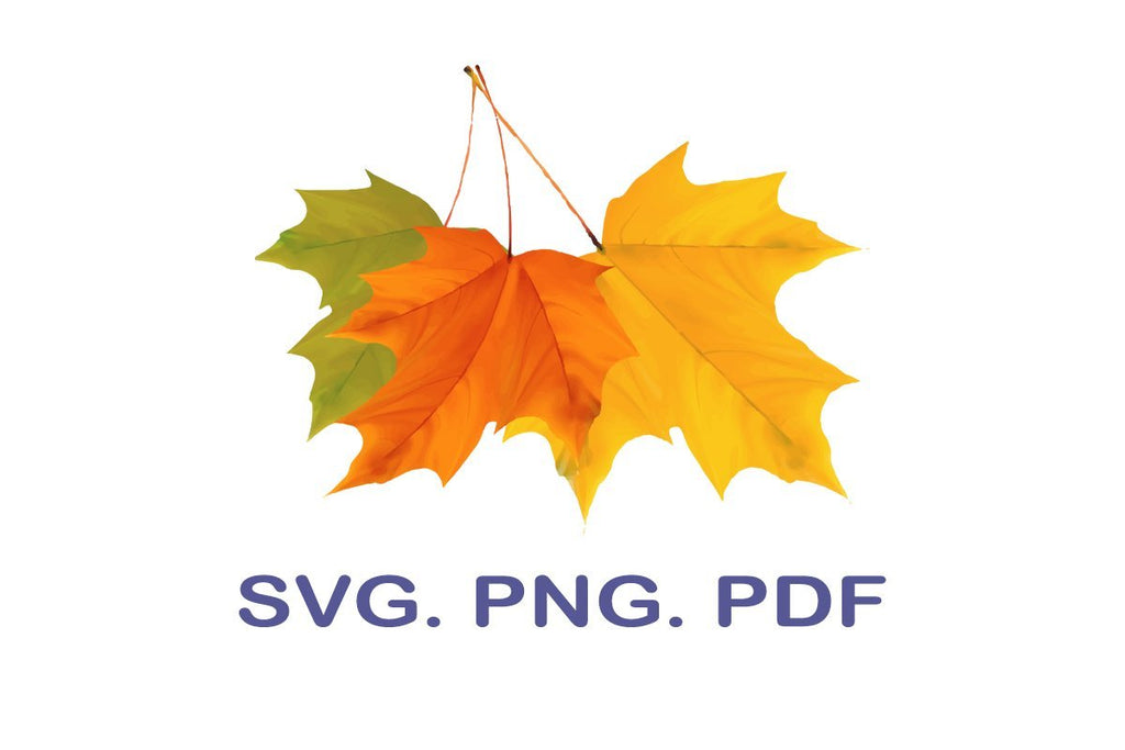Fall Leaves SVG, Autumn leafs, thanksgiving SVG, Leafs Cut File, Autumn ...