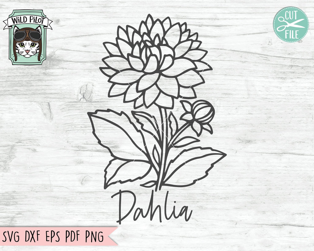 Dahlia Flower SVG Cut File - So Fontsy