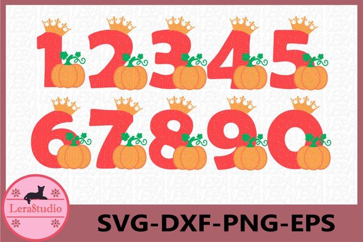 Numbers Pumpkin SVG - So Fontsy