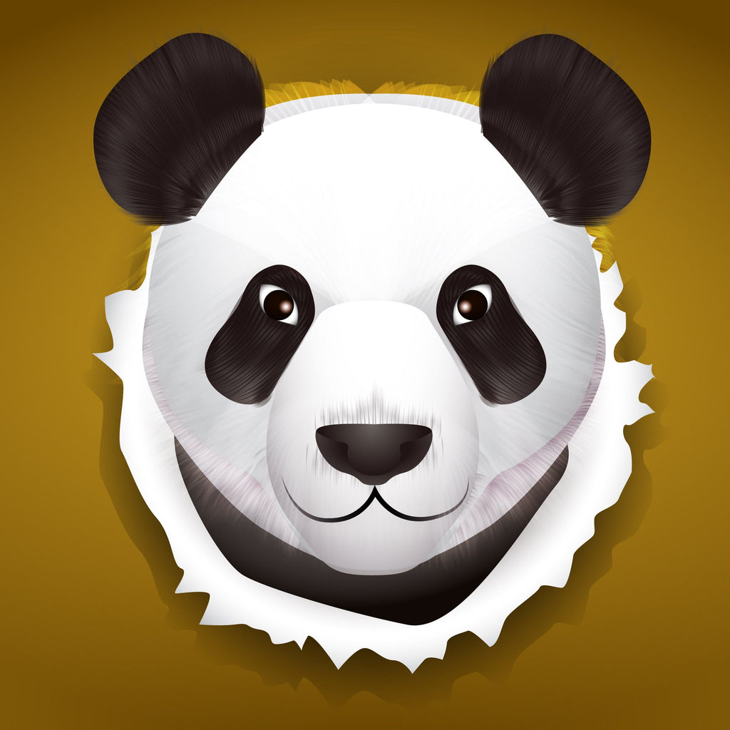 panda bear face