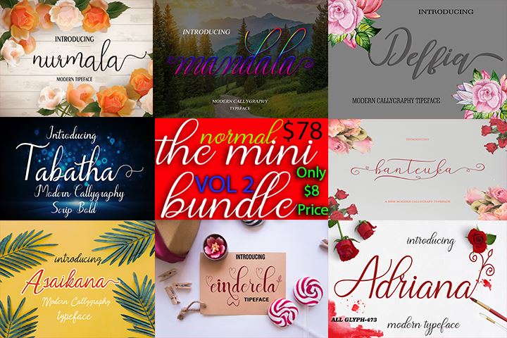 The Mini Bundle Vol 2 - So Fontsy
