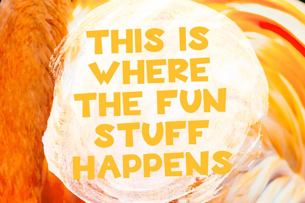 Travis Zone - Playful Display Font - So Fontsy