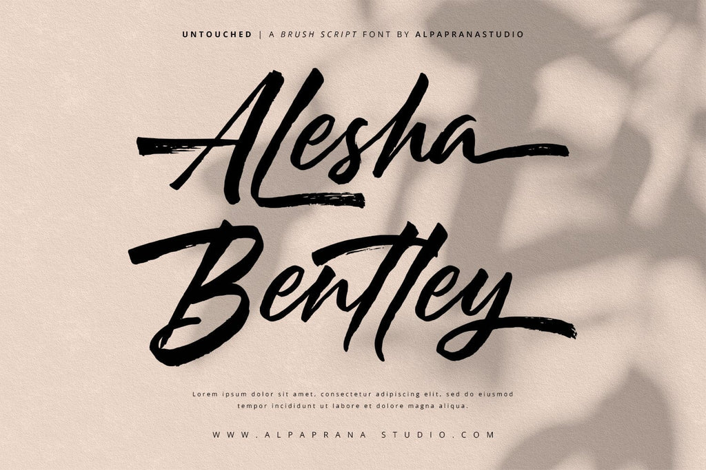 Untouched - Brush Script Font - So Fontsy