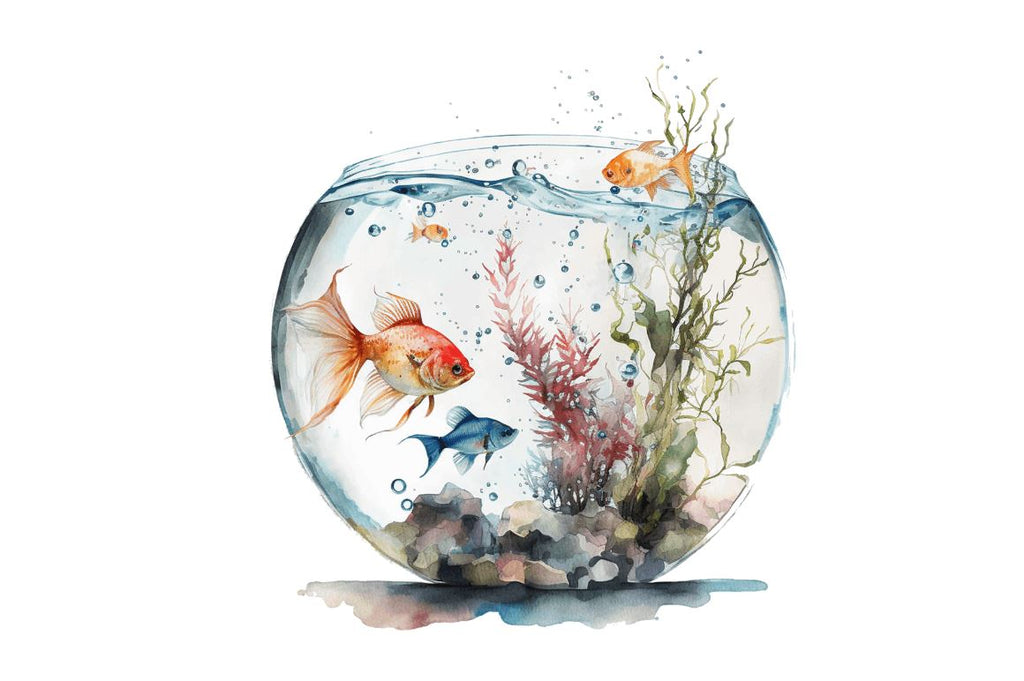 Watercolor Fish Bowl Tank Clipart Bundle - So Fontsy
