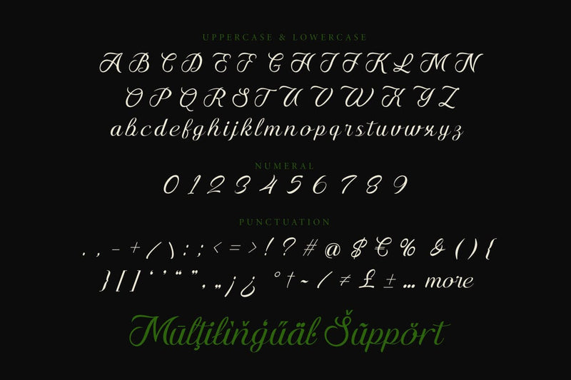 Adhun Mage - Script Font - So Fontsy