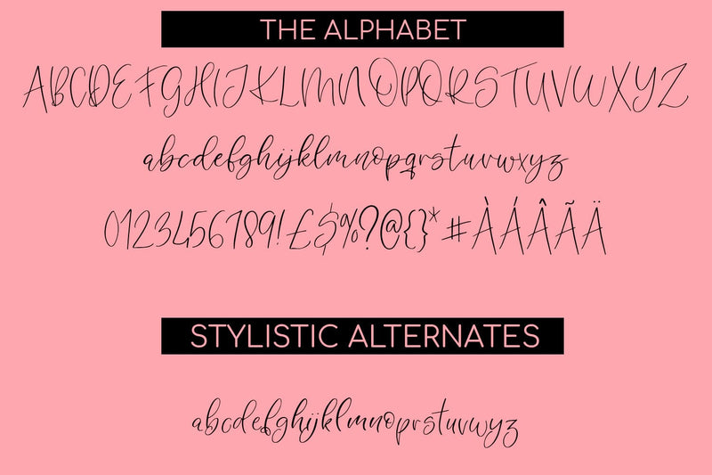 Angelina A Handwritten Script Font - So Fontsy