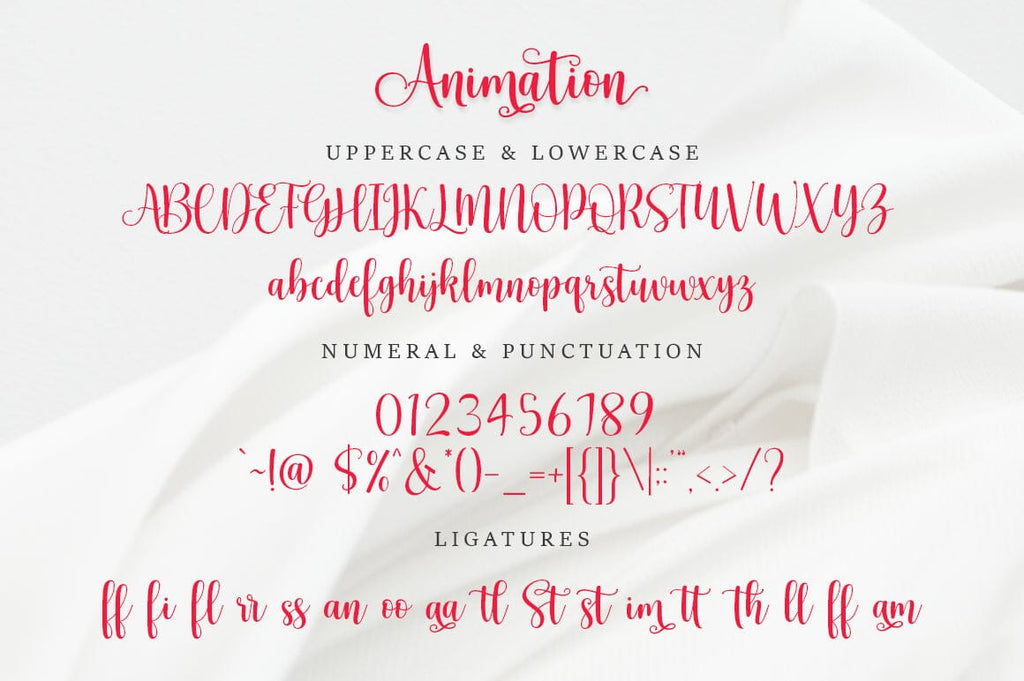 Animation Script - So Fontsy