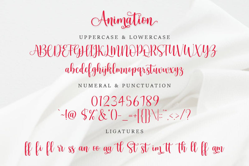 Animation Script - So Fontsy