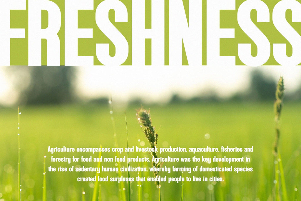 Ataria - Modern Condensed Sans - So Fontsy