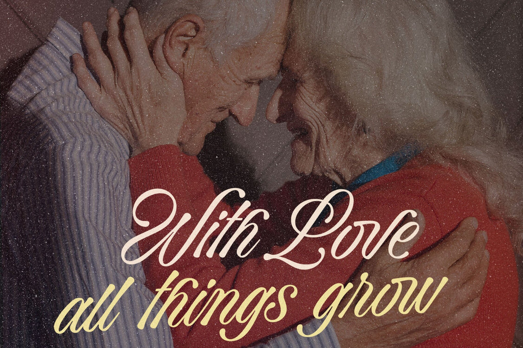 Bella Elegante - Calligraphy Font - So Fontsy