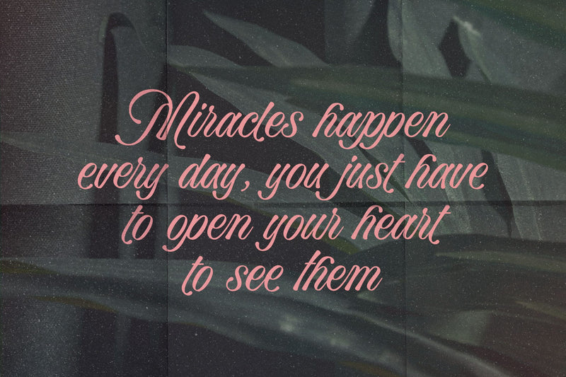 Bella Elegante - Calligraphy Font - So Fontsy