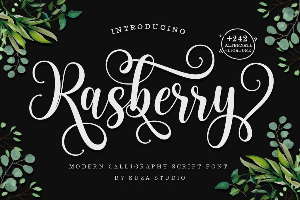 Best Script Font Bundle - So Fontsy