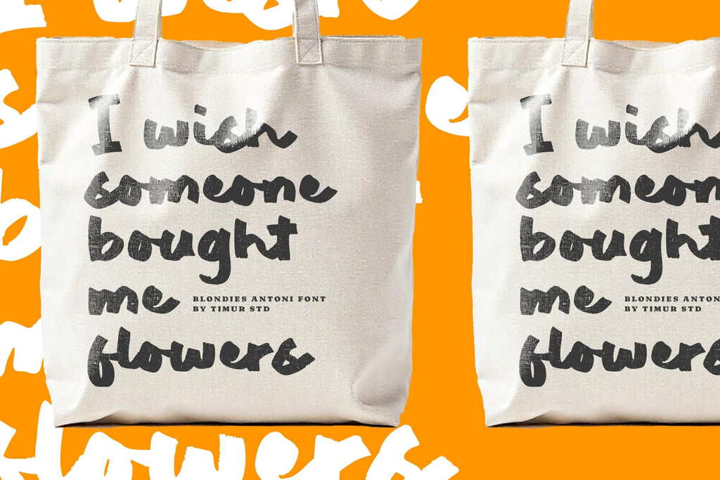 Blondies Antoni - Bold Handbrushed Font - So Fontsy