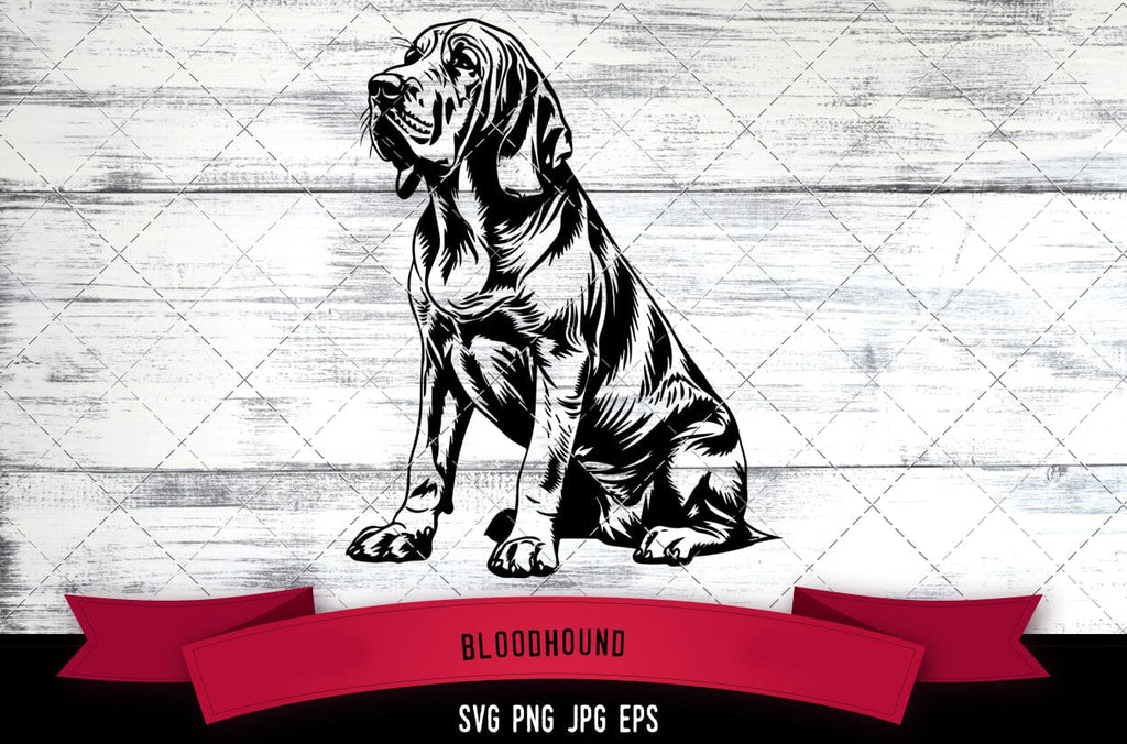 Bloodhound SVG, Dog SVG, Logo - Digital Download with Commercial ...