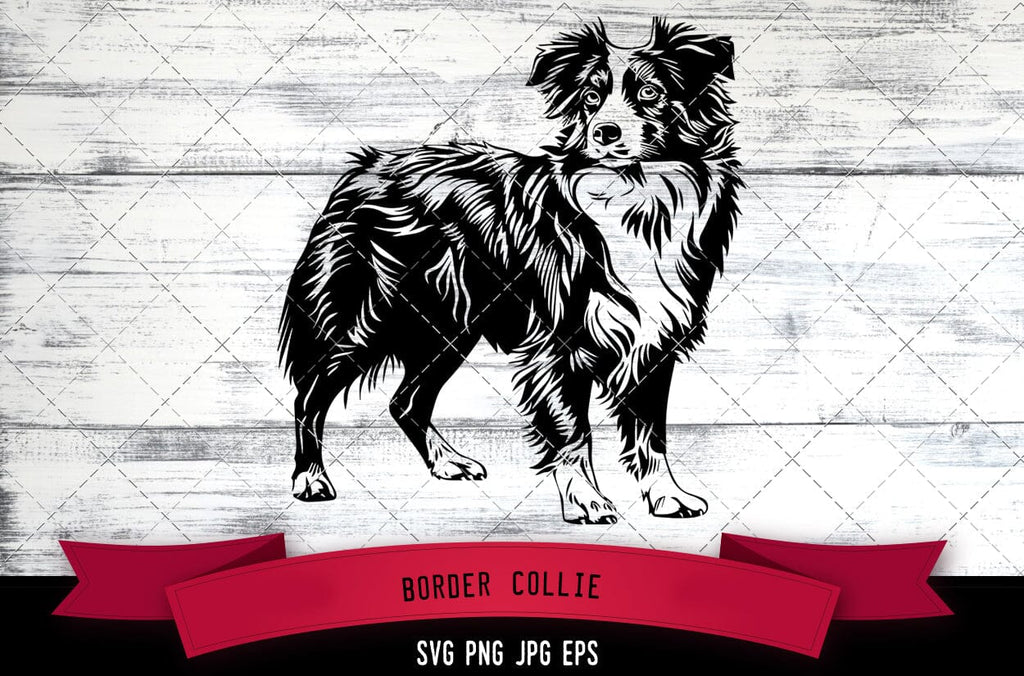 Border Collie SVG, Dog SVG, Logo - Digital Download with Commercial ...