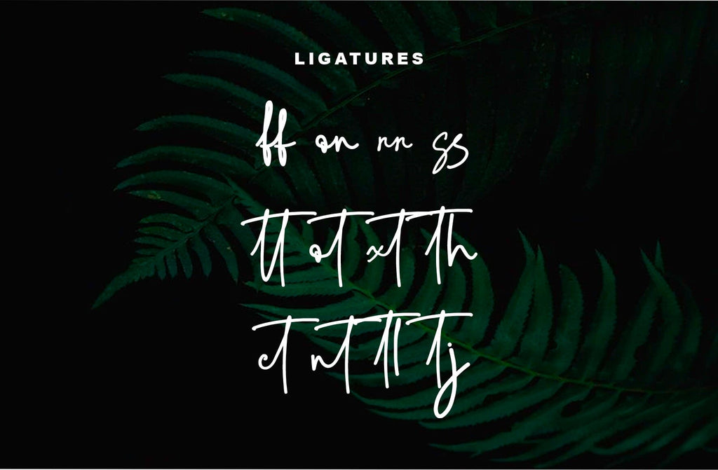 Brainy Signature Font - So Fontsy