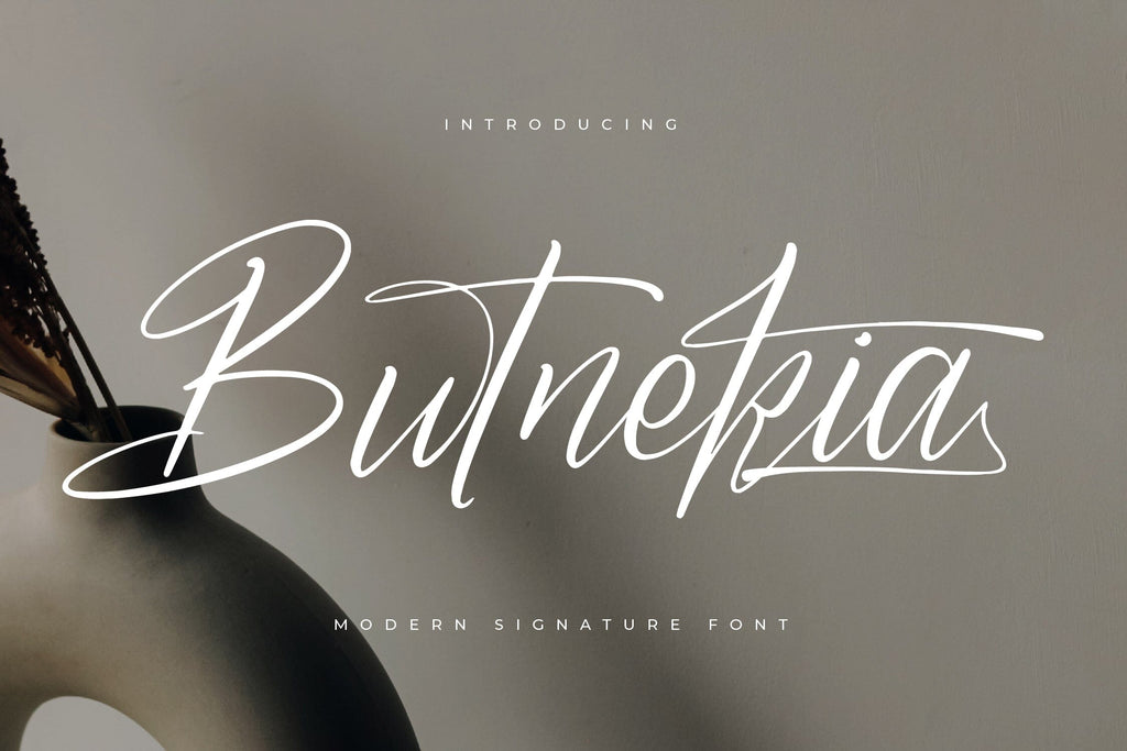 Butnekia - Modern Signature Font - So Fontsy