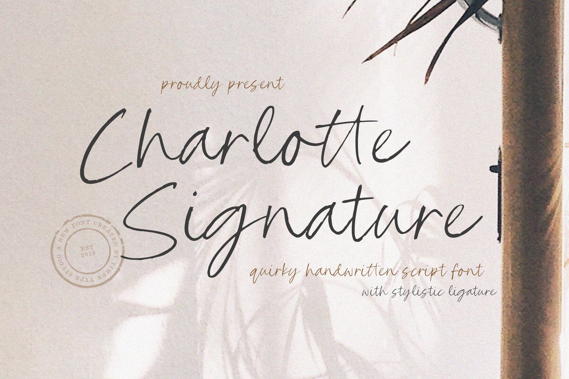 Charlotte Signature - Quirky Handwritten Script Font - So Fontsy