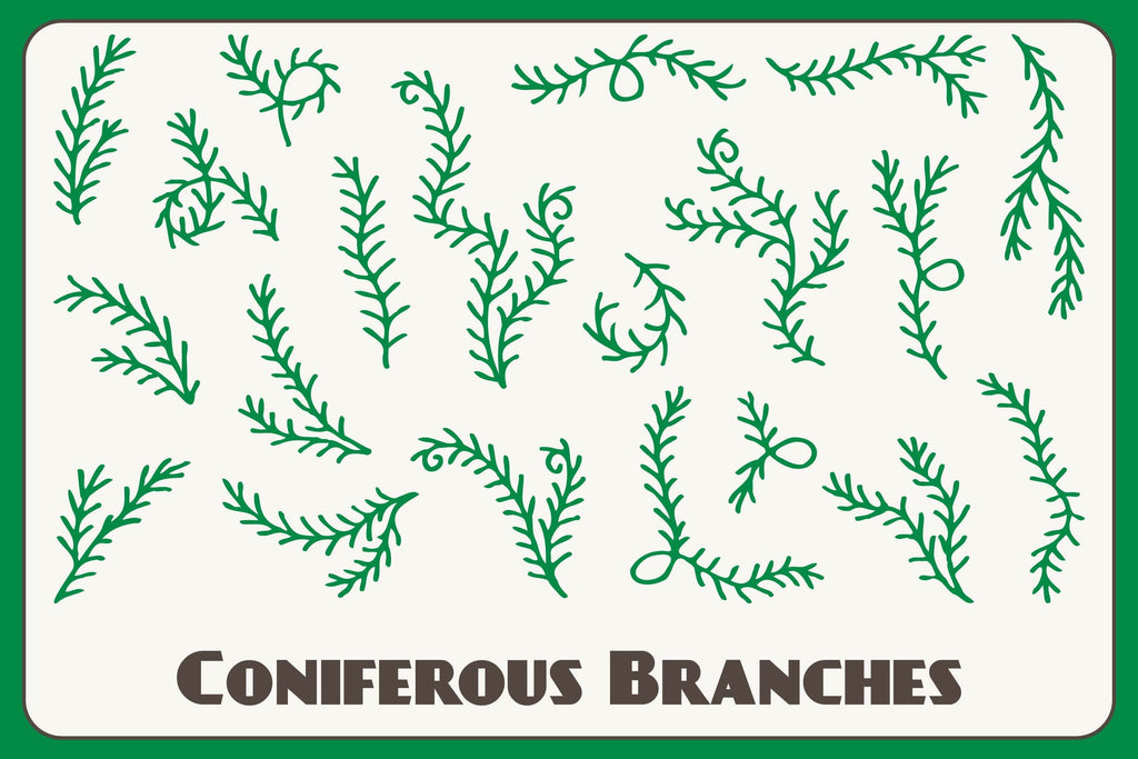 Coniferous Branches PNG Clipart - So Fontsy