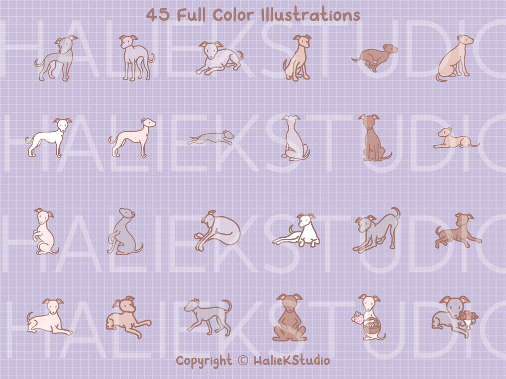 Cute Greyhounds Color PNG and SVG Design Set - So Fontsy