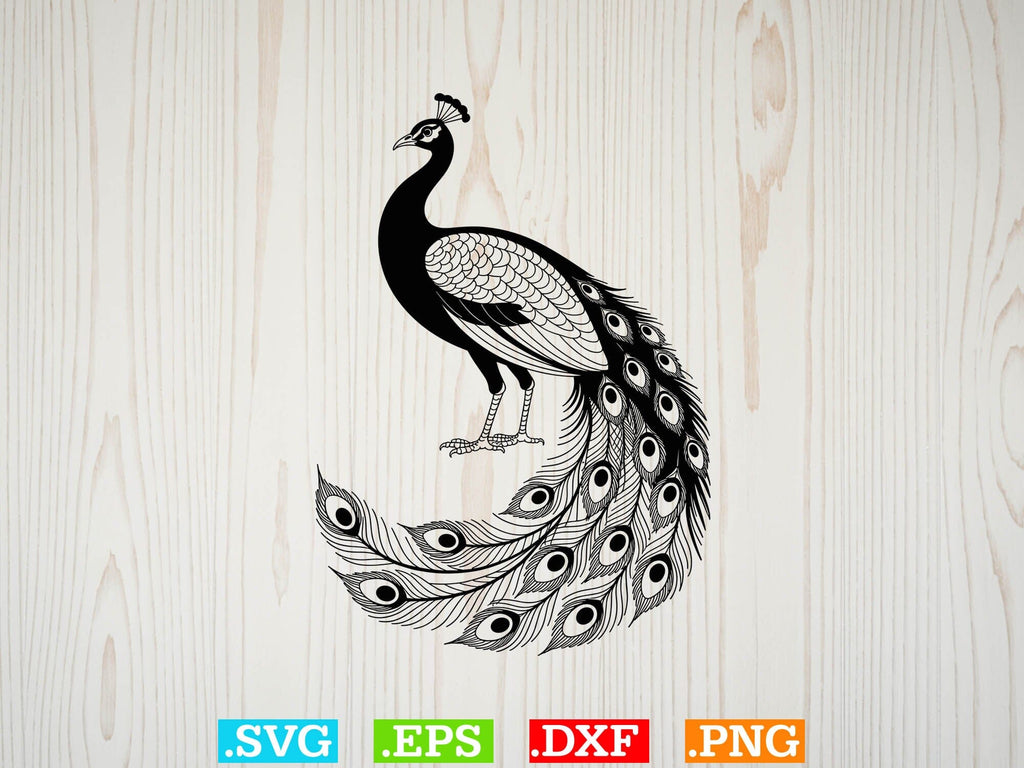 Cute Peacock Svg Bundle, Bird Lover Svg, Wildlife Svg, Animal Svg - So ...