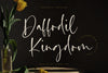 Daffodil Kingdom - Handwritten Script Font - So Fontsy