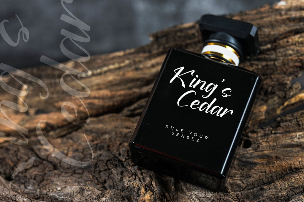 Daltomy Fabiola - Modern Bold Script - So Fontsy