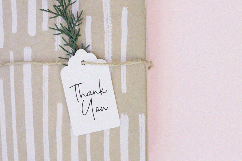 Daniela Paradise - Monoline Handwriting Font - So Fontsy