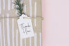 Daniela Paradise - Monoline Handwriting Font - So Fontsy