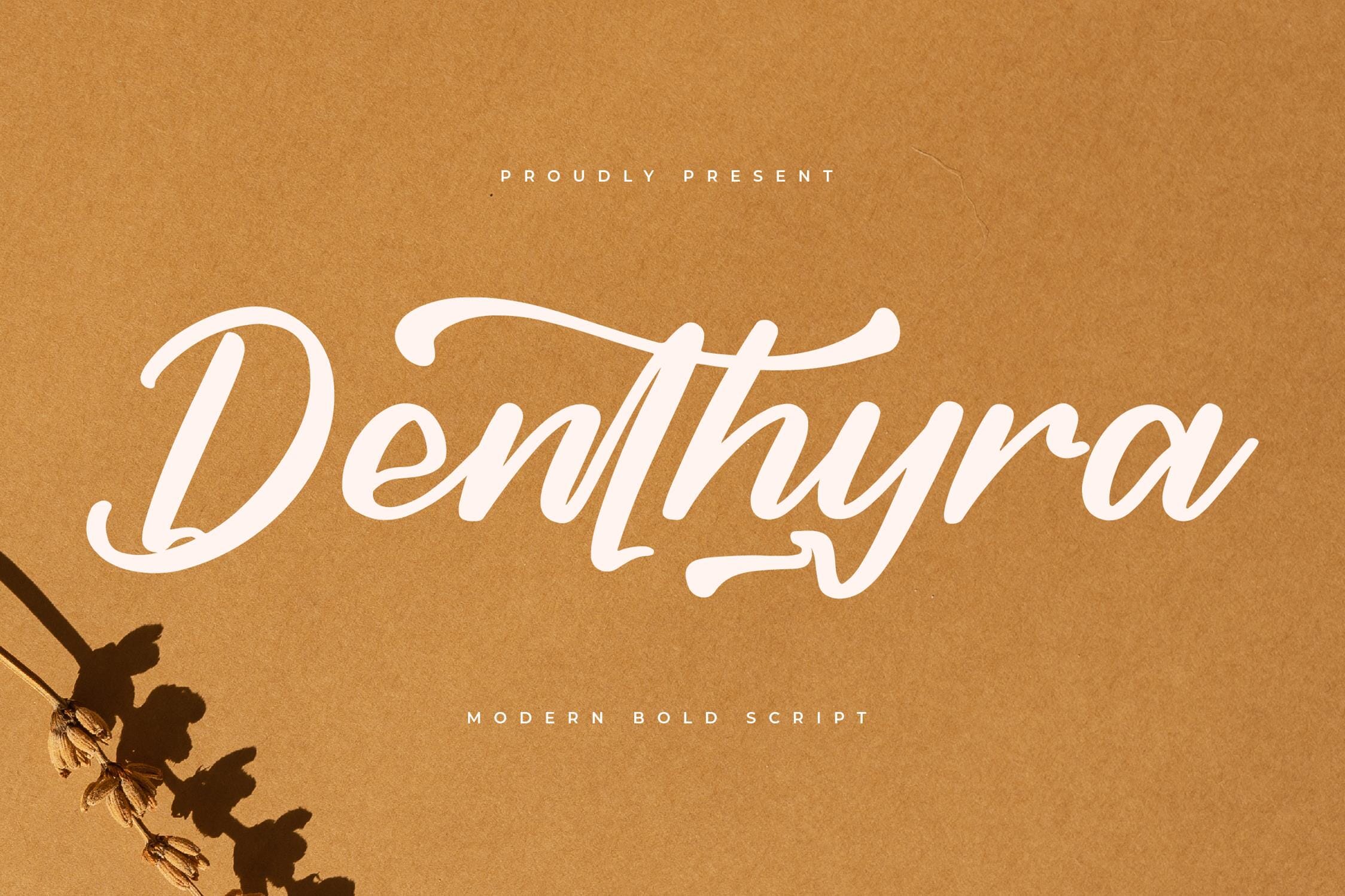 Denthyra - Modern Bold Script - So Fontsy