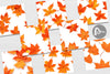 Digital Paper 3D Autumn Leaves - So Fontsy