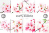 Digital Paper Cherry blossoms - So Fontsy