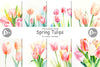 Digital Paper Spring Tulips - So Fontsy