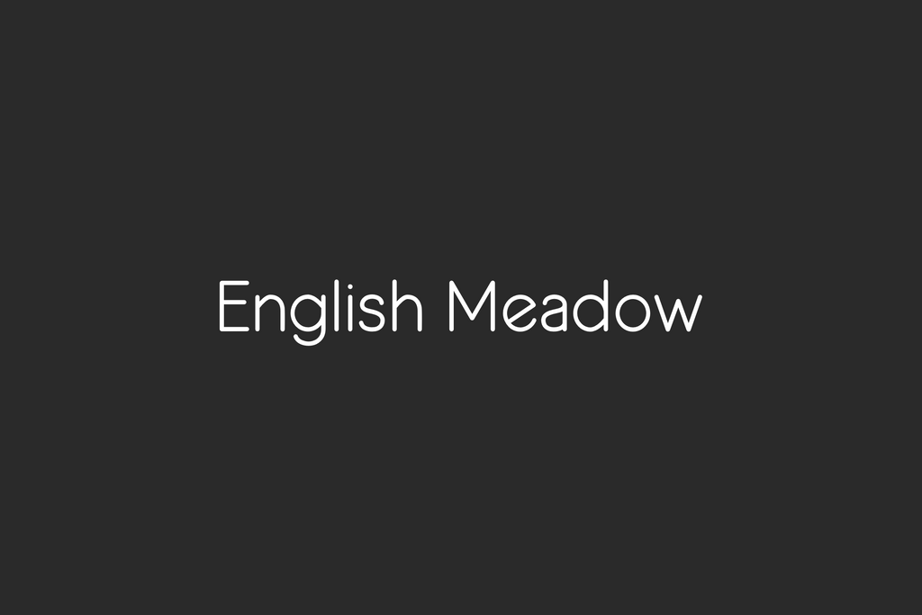 English Meadow Font San Serif Handmade - So Fontsy