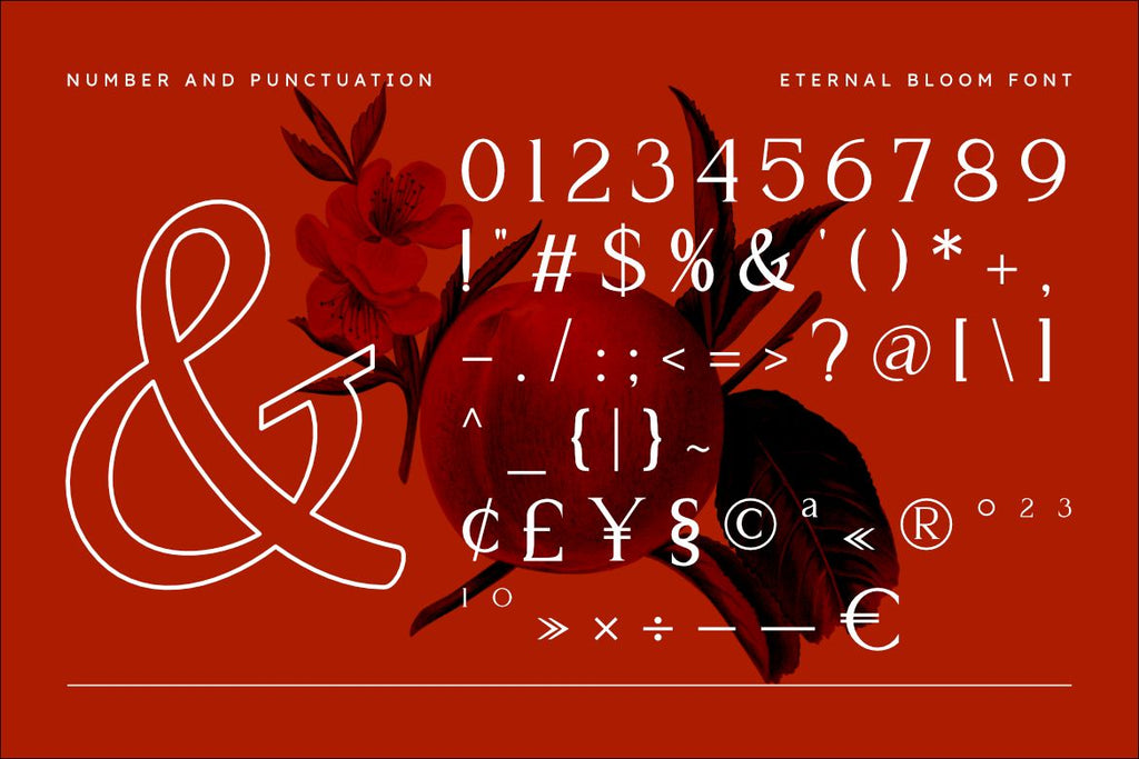 Eternal Bloom - Modern Serif Font - So Fontsy