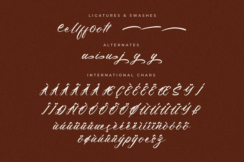 Feori Luna - Modern Script Font - So Fontsy