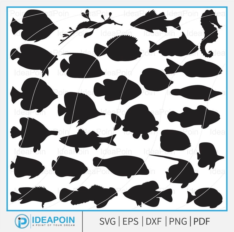 Fishs svg, Tropical fish set, Fish Species png, Aquarium Fish, Cartoon ...