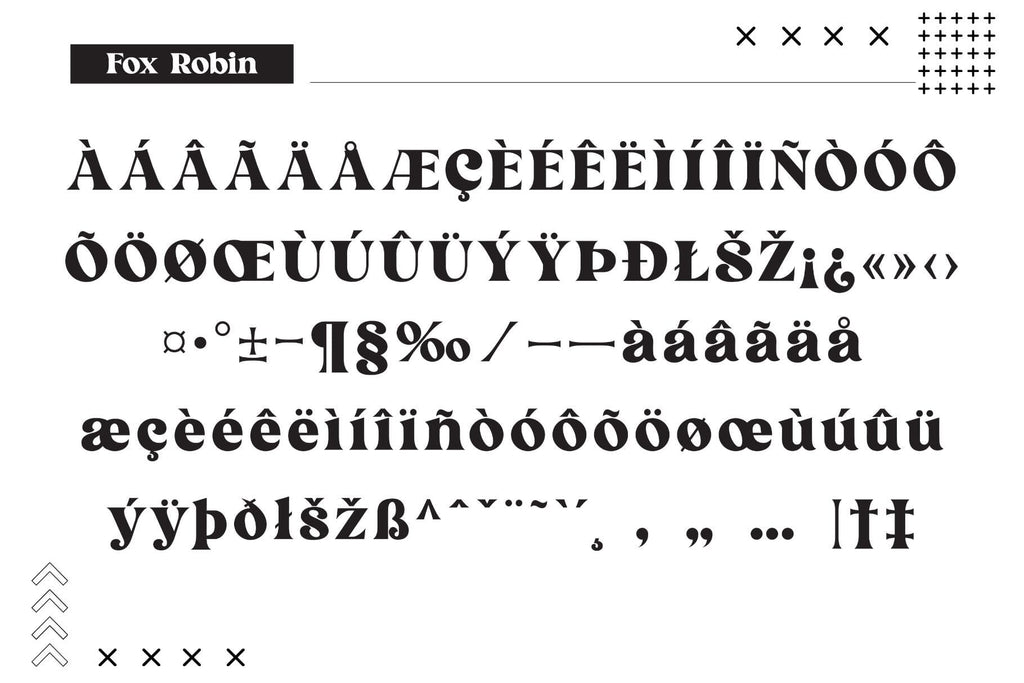 Fox Robin Font - So Fontsy