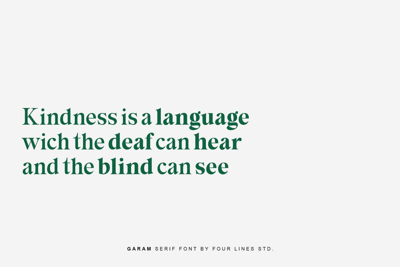 Garam – Bold Serif Font - So Fontsy