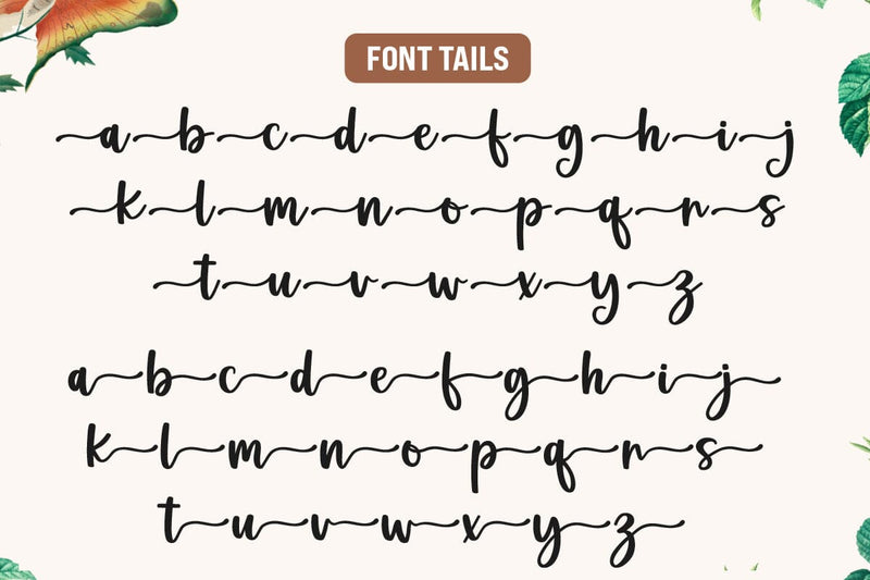 Gentry - Modern Script Font - So Fontsy