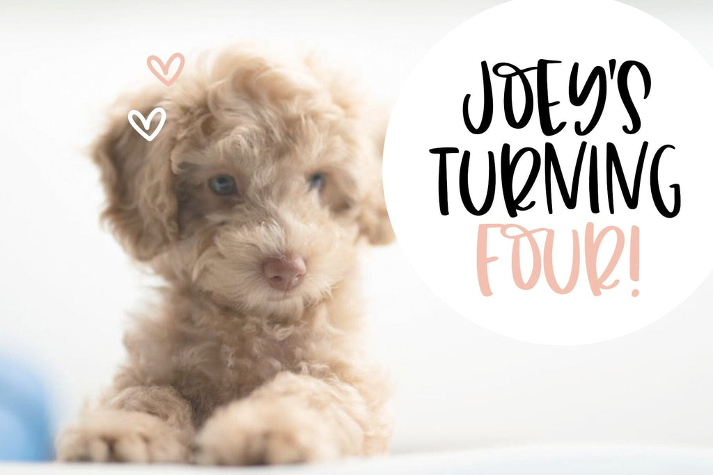 Georgia Peach - Quirky Handwritten Font - So Fontsy