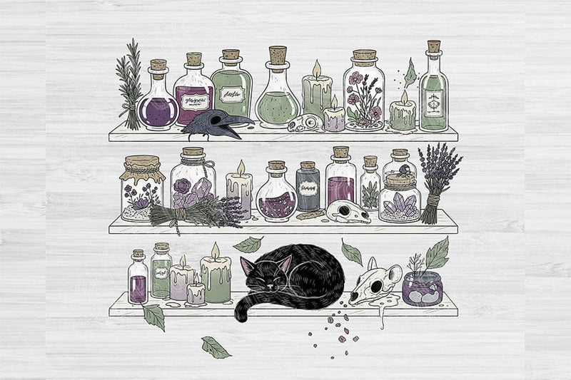 Goth Cottagecore PNG Bundle, Dark Academia Aesthetic, Witchy Floral ...