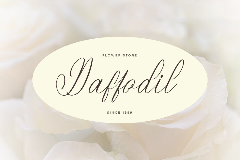 Herbina Yolanda - Modern Beauty Script - So Fontsy