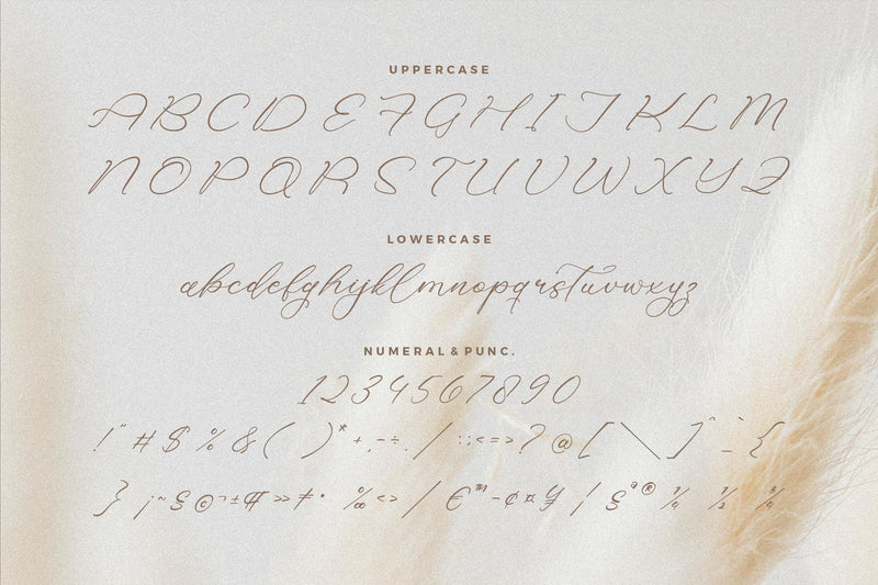Holicakes Serfinah - Beauty Script Font - So Fontsy