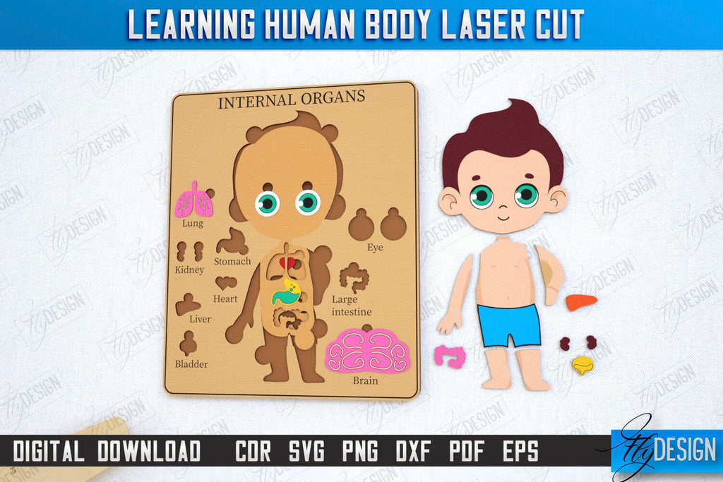 Learning Human Body Laser Cut Bundle | Kid’s Puzzle | Anatomy Game for ...